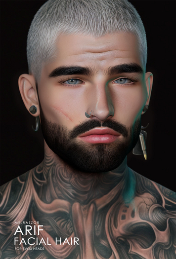 Second Life Marketplace - [MR] Arif Facial Hair for EVOX Heads